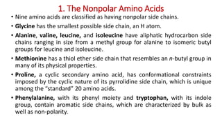 Unit 3 Biomolecules - Proteins I (1).pptx