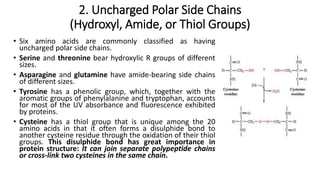 Unit 3 Biomolecules - Proteins I (1).pptx