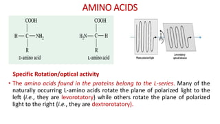 Unit 3 Biomolecules - Proteins I (1).pptx
