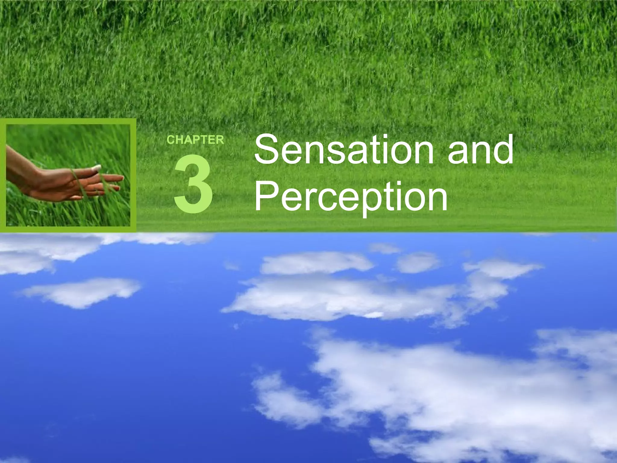 Unit 3: Sensation and Perception | PPT