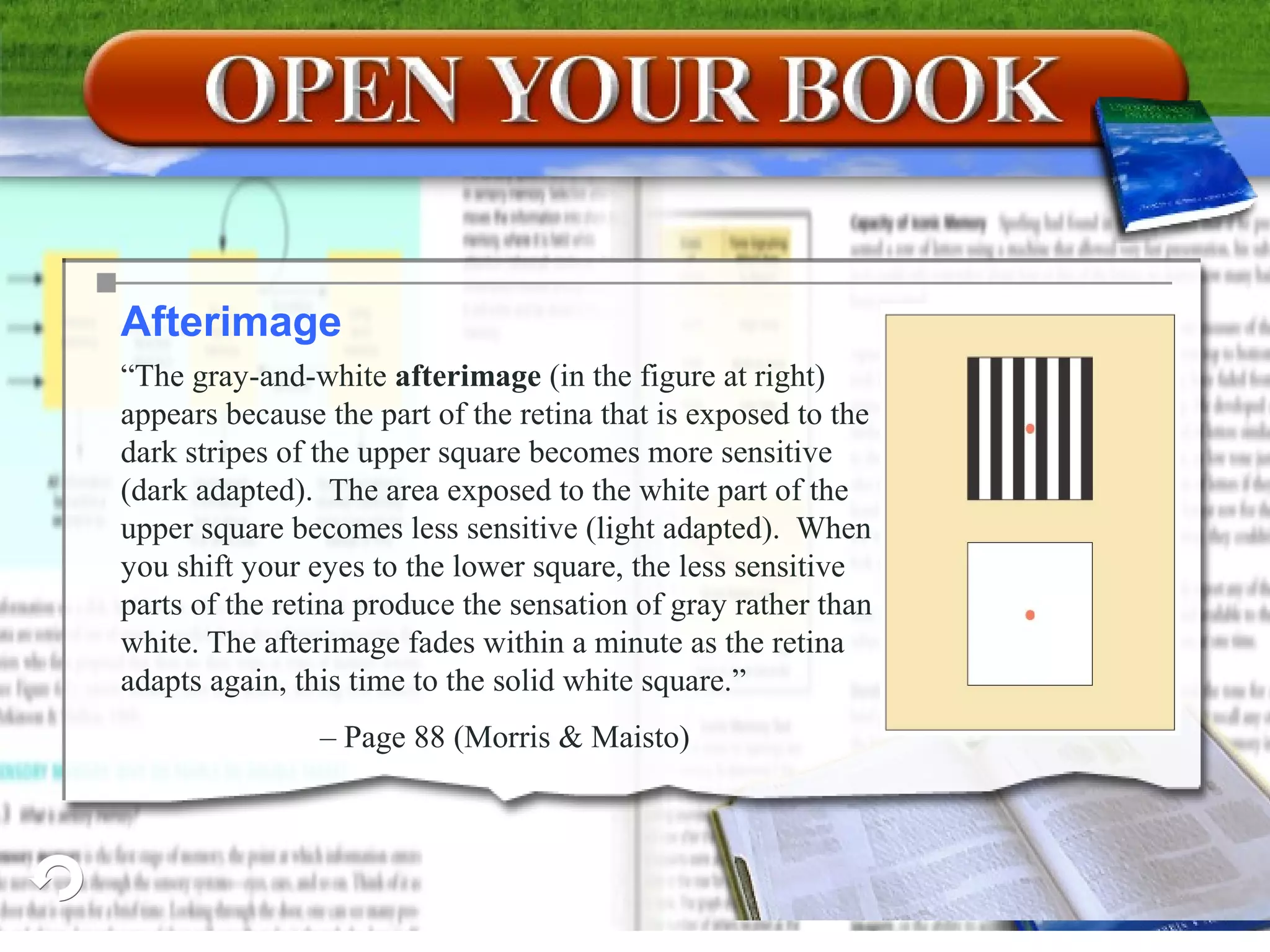 Unit 3: Sensation and Perception | PPT