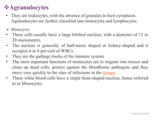 Unit 3 blood gnm | PPTX