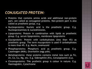 Protein | PPT