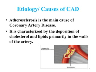 Unit 3 cad | PPT