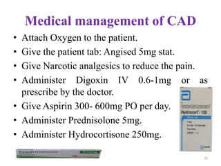 Unit 3 cad | PPT