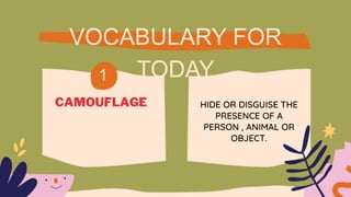 UNIT 3 camouflage.pptx