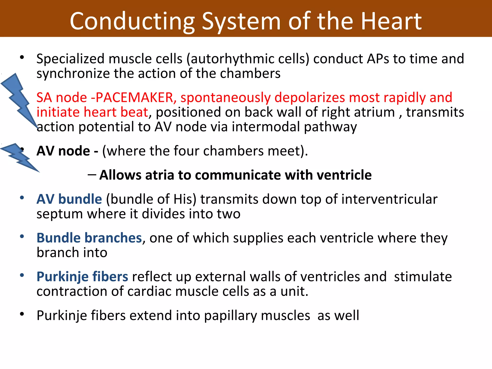 Unit 3 cardiovascular system nrs237 | PPT