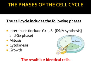 Unit 3 cell division | PPTX