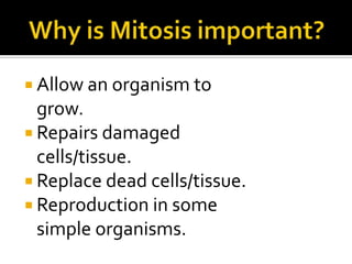 Unit 3 cell division | PPTX