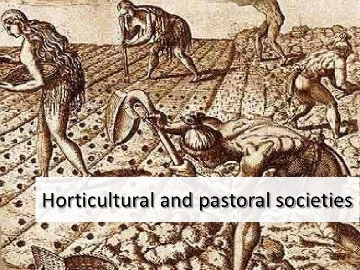 Unit 3 changing patterns of society without videos