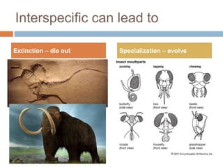 Unit 3 communities and interactions | PPT