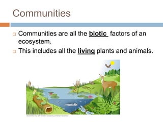Unit 3 communities and interactions | PPT