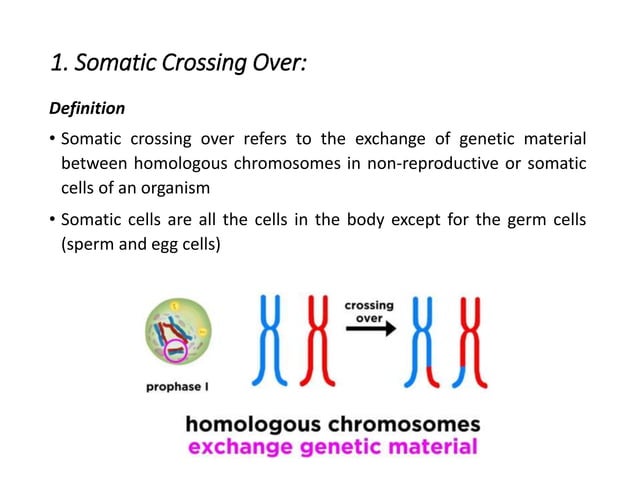 Unit 3 CROSSING OVER.pptx | Biological Sciences | Science