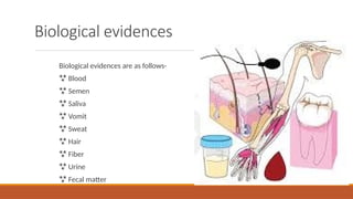 Unit 3 Crime Scene Management .pptx