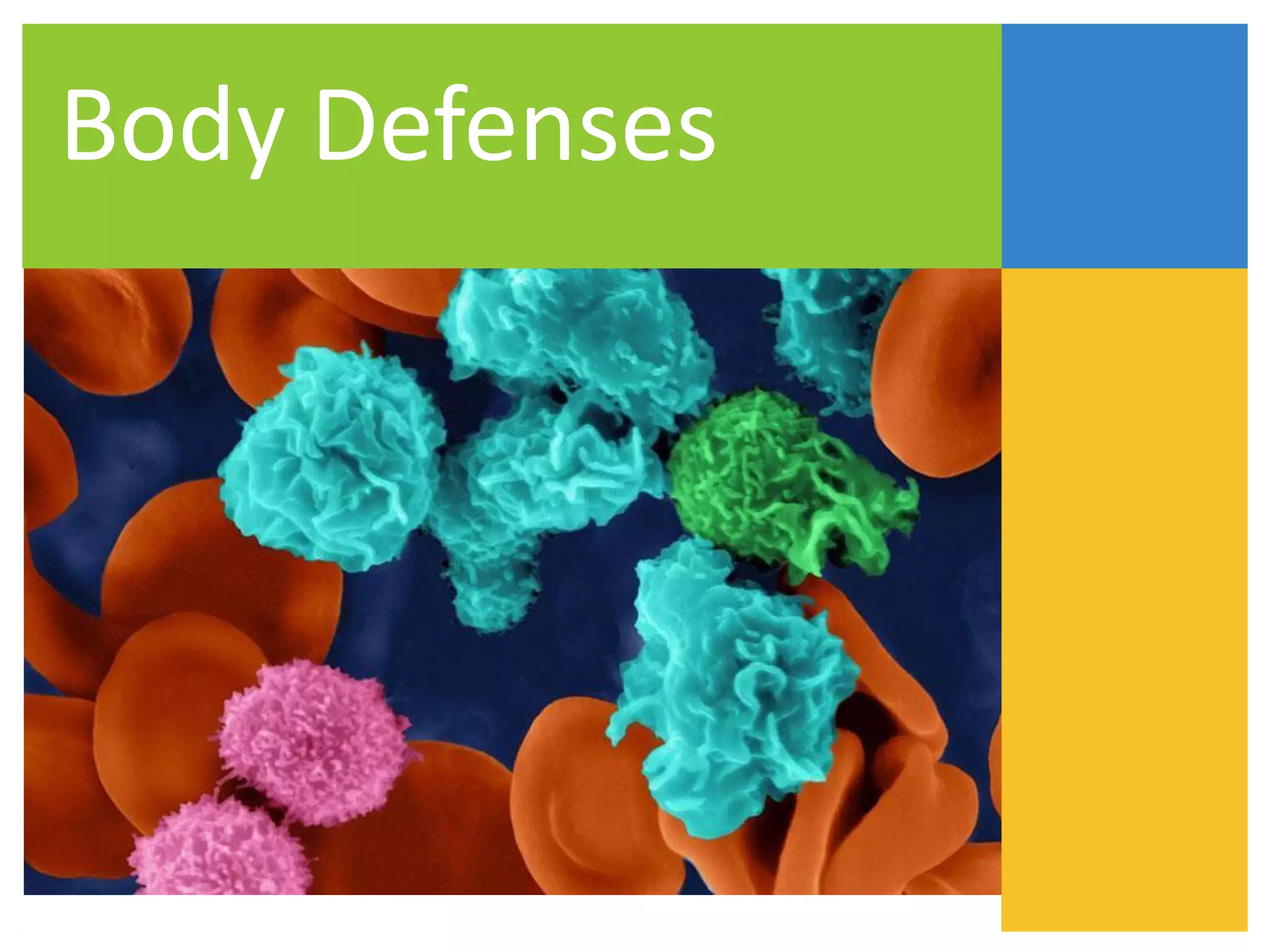 Unit 3 Defense mechanisms of the body BSN.pdf