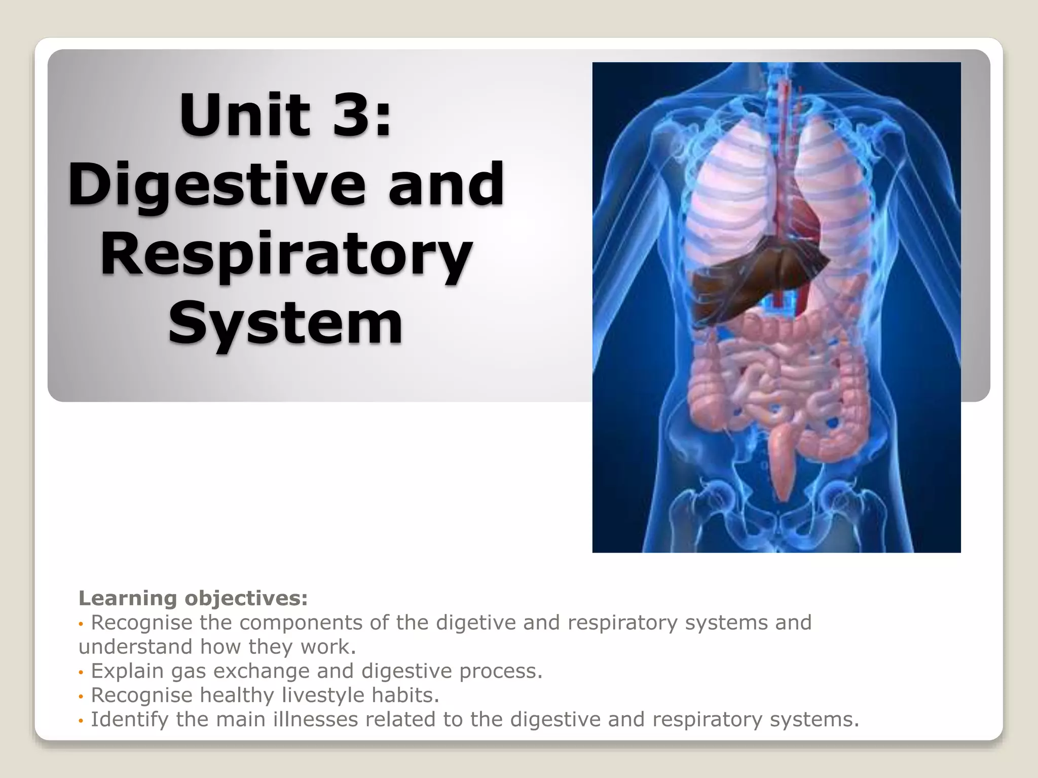 Unit 3 Digestive and Respiratory Systems | PPTX