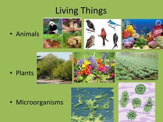 ecosystems | PPT