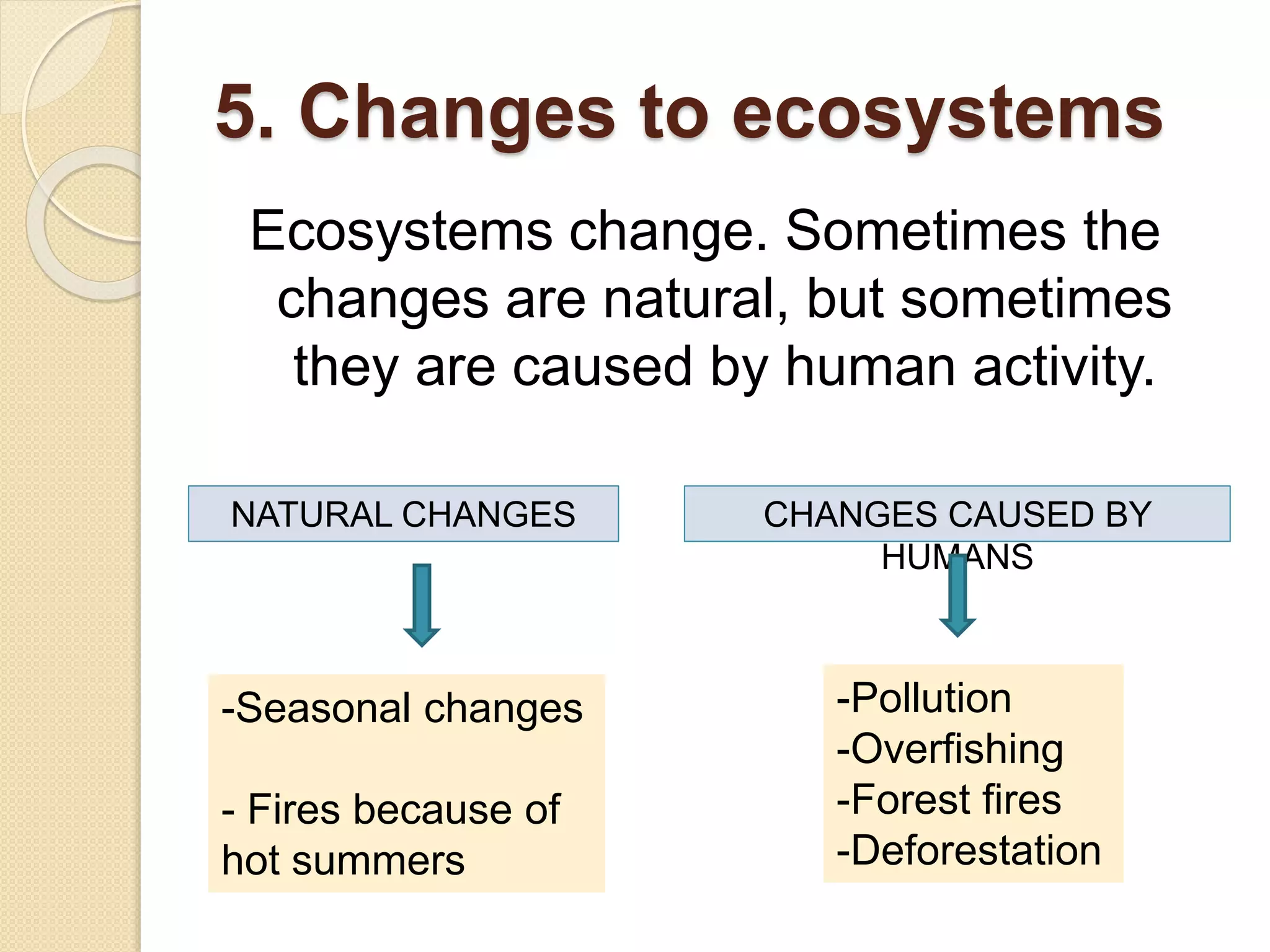 Unit 3 ecosystems | PPT