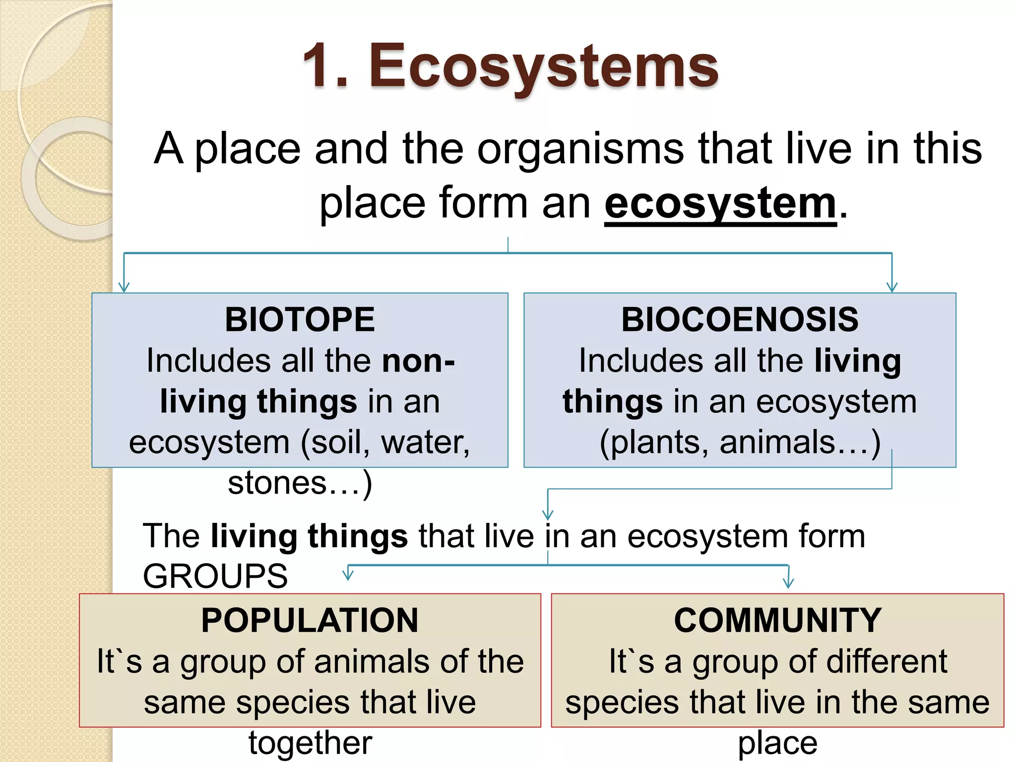 Unit 3 ecosystems | PPT