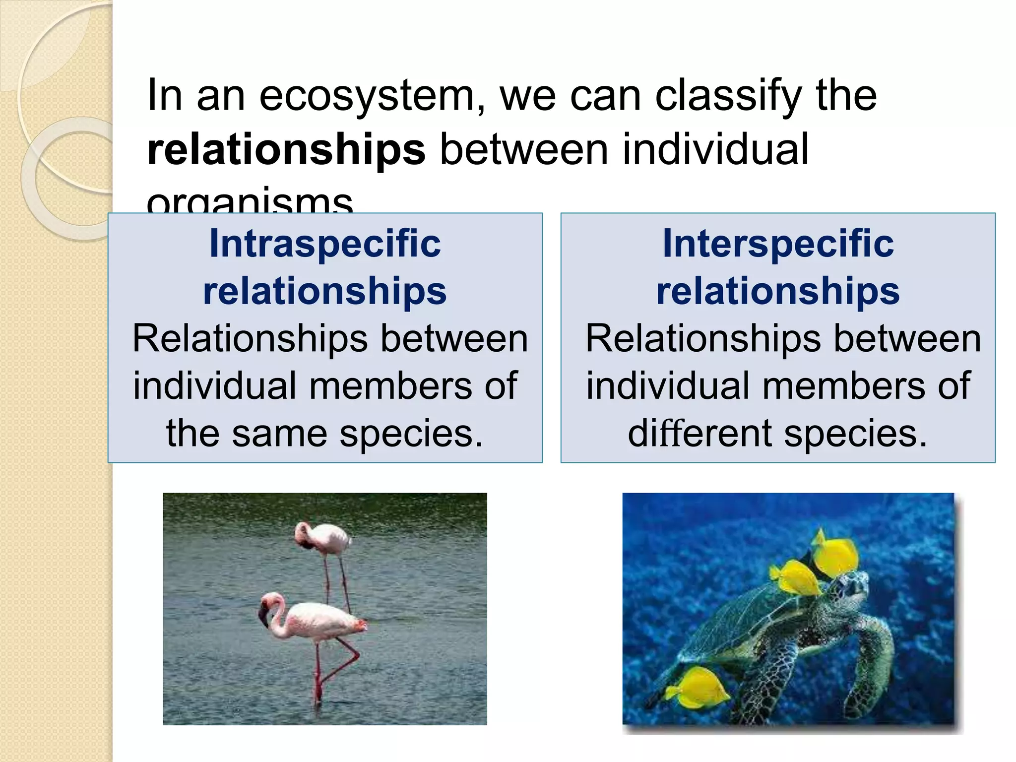Unit 3 ecosystems | PPT
