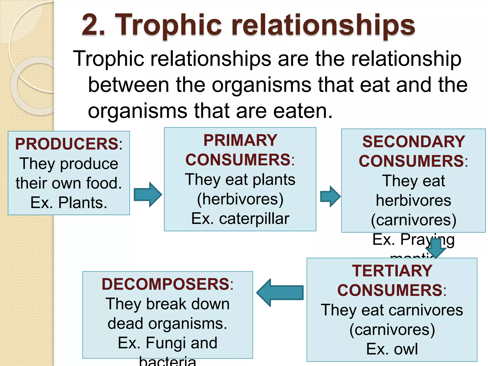 Unit 3 ecosystems | PPT
