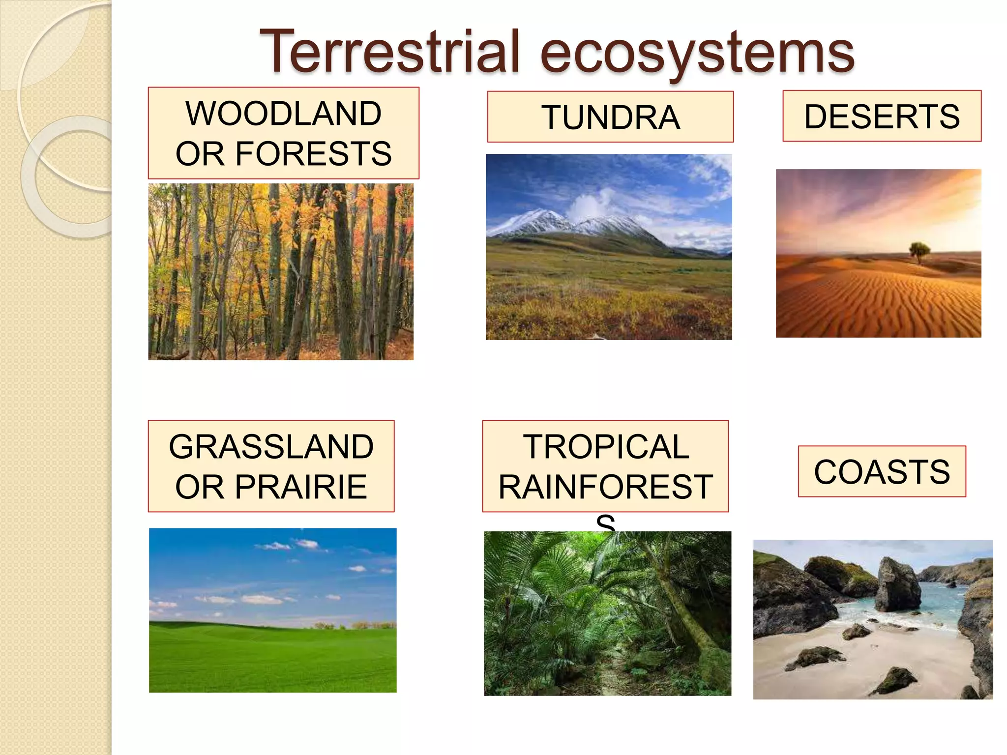 Unit 3 ecosystems | PPT
