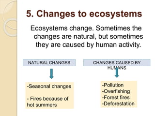 Unit 3 ecosystems | PPT
