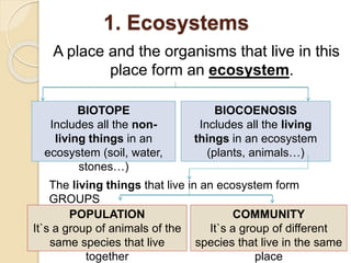 Unit 3 ecosystems | PPT