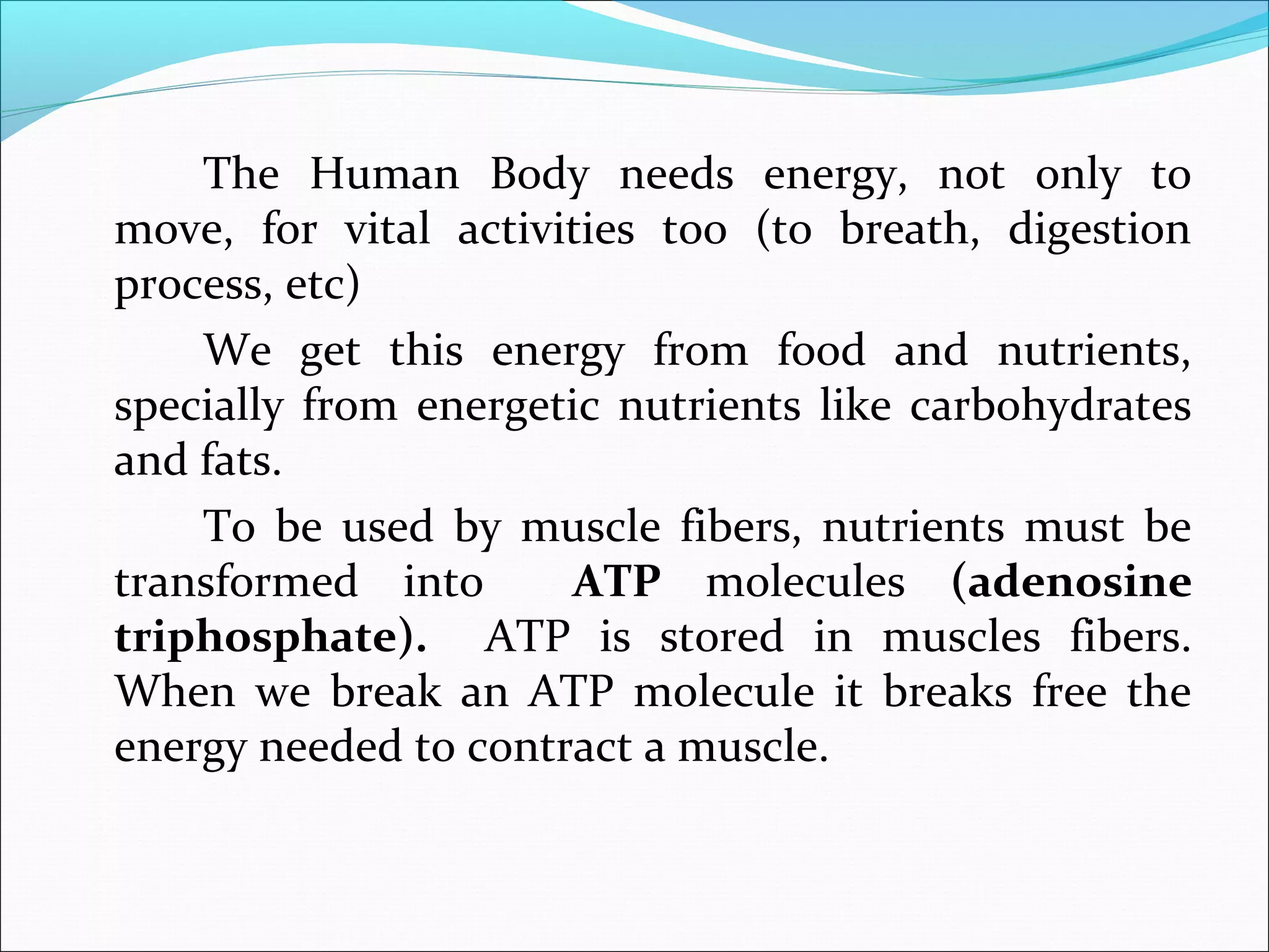 Unit 3 energy pathways | PPT
