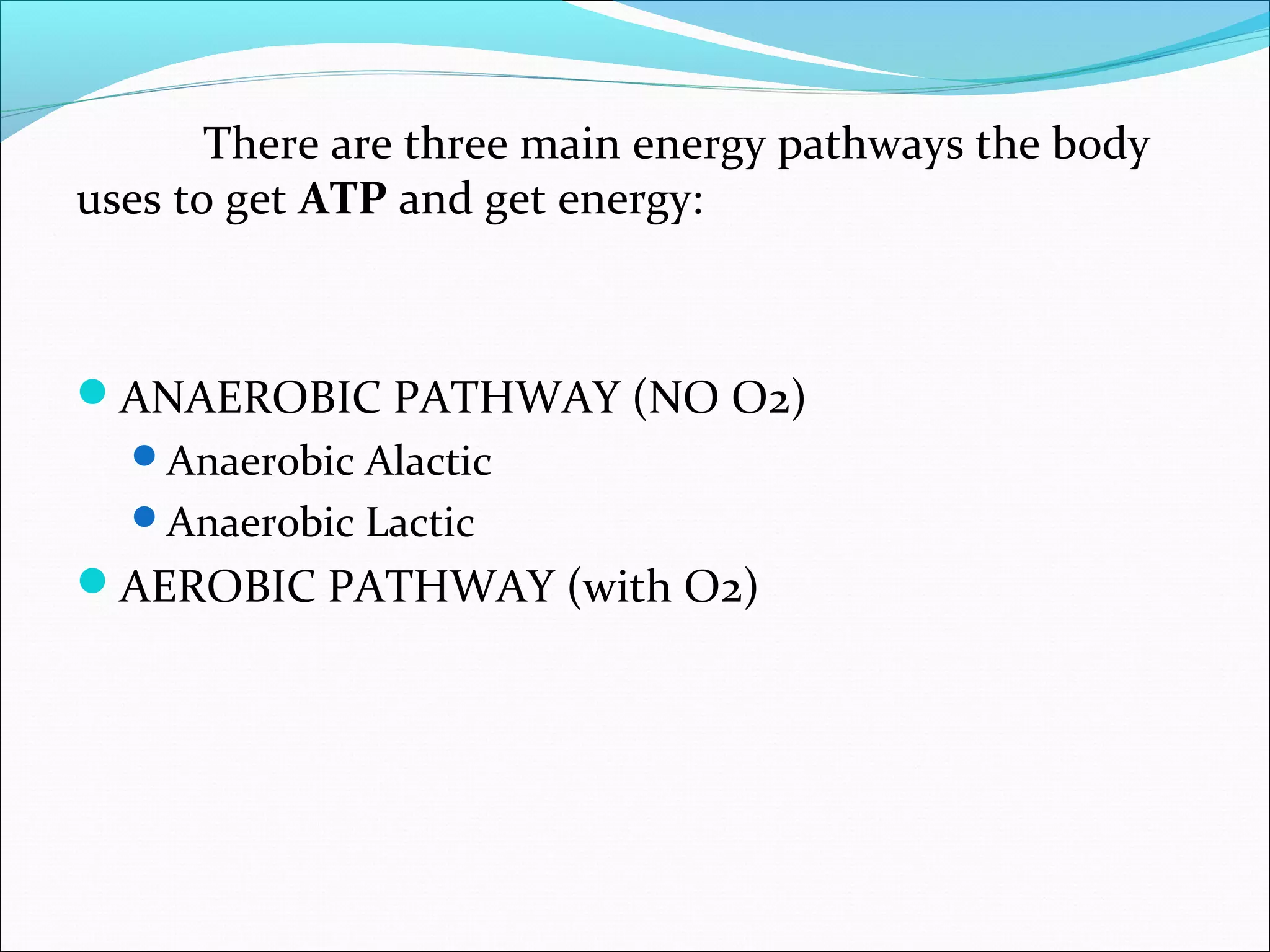 Unit 3 energy pathways | PPT