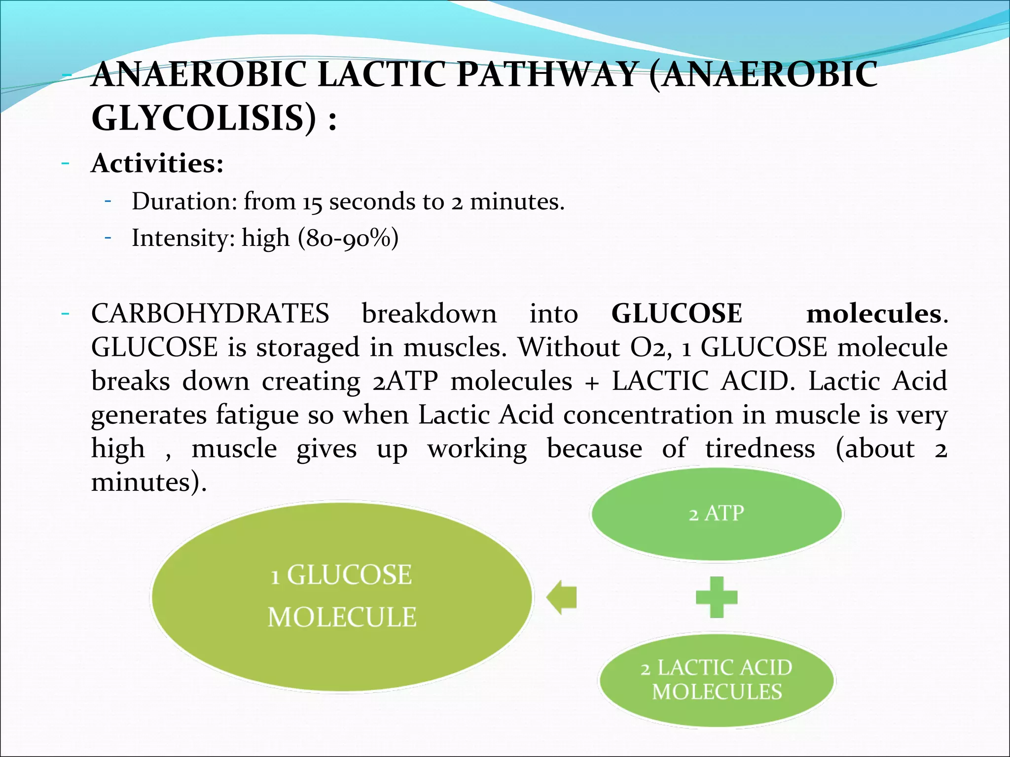 Unit 3 energy pathways | PPT