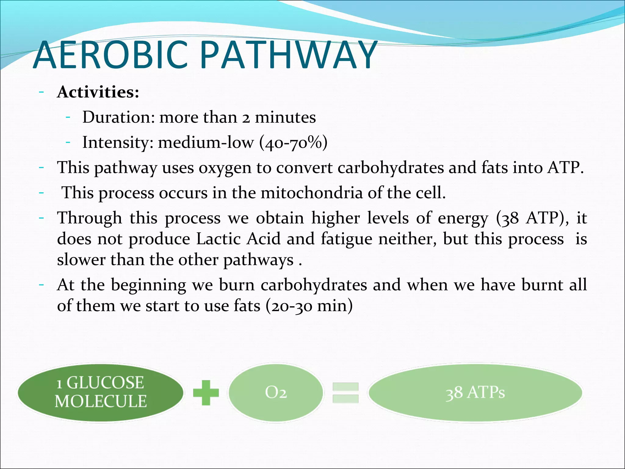 Unit 3 energy pathways | PPT