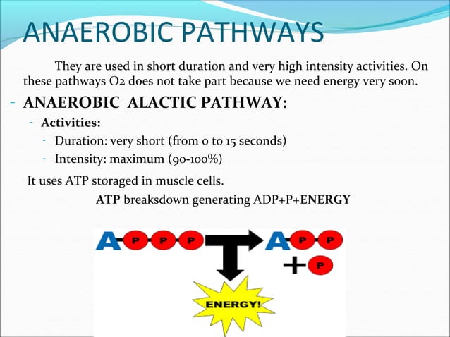 Unit 3 energy pathways | PPT