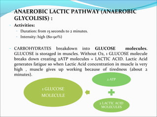 Unit 3 energy pathways | PPT