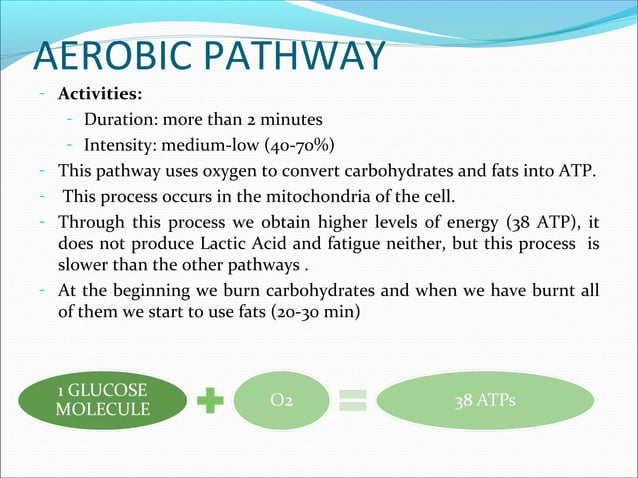 Unit 3 energy pathways | PPT
