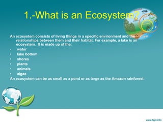 Unit 3 environment | PPT