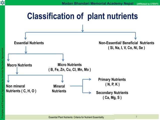 Unit 3 Essential nutrient elements.pptx | Agriculture | Industries