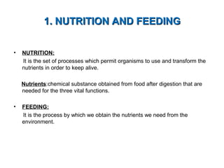 Unit 3 Food and nutrition | PPT