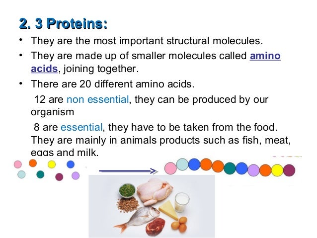 Unit 3 Food and nutrition
