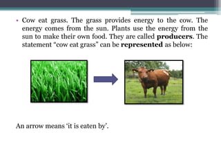 Unit 3 food chain & food web | PPTX