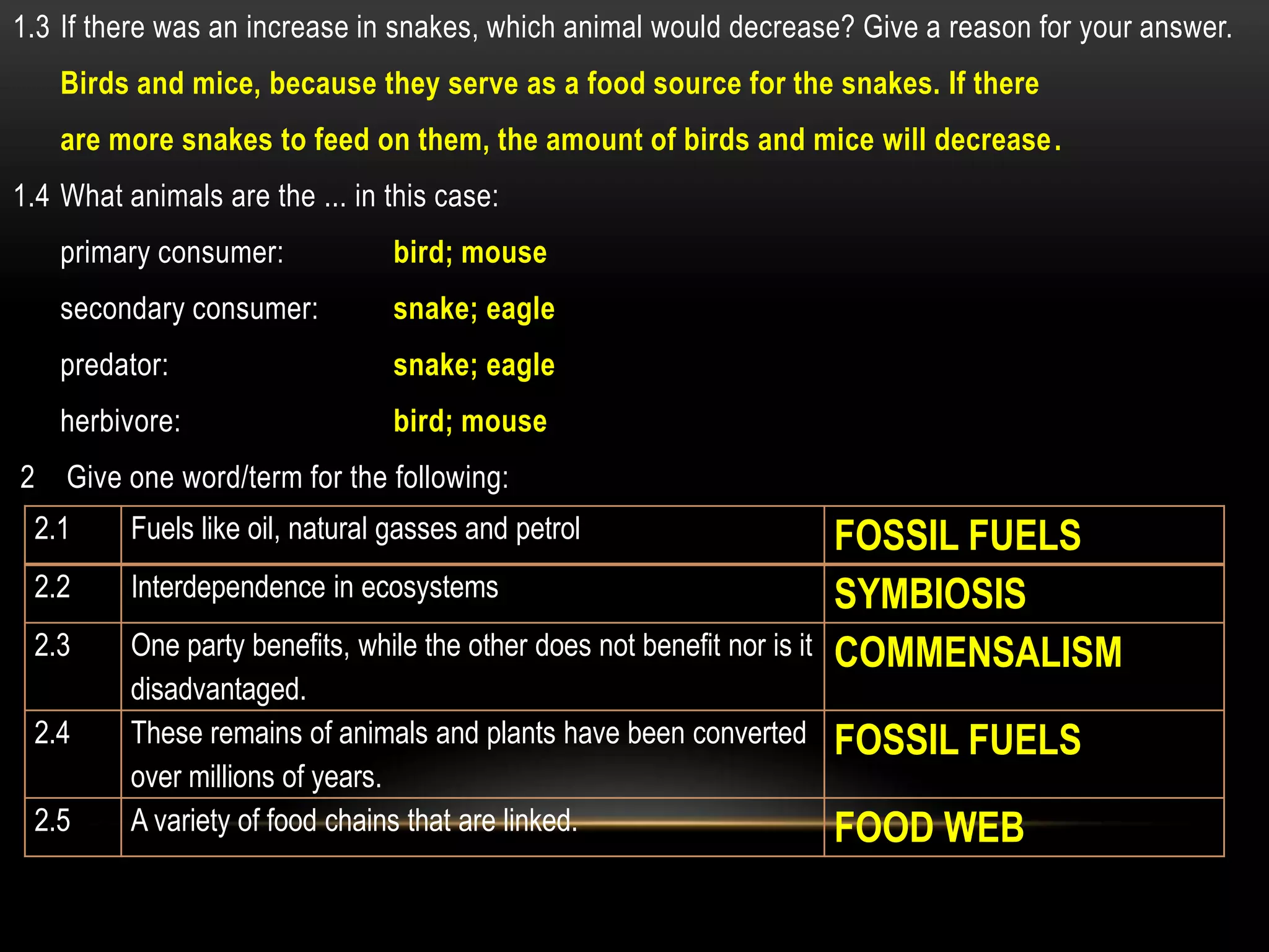 Food chains & Food webs | PPTX