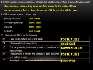 Food chains & Food webs | PPTX