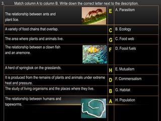 Food chains & Food webs | PPTX