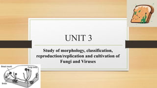 UNIT 3 FUNGI-VIRUS-DISINFECTANTS SEMESTE | PPTX