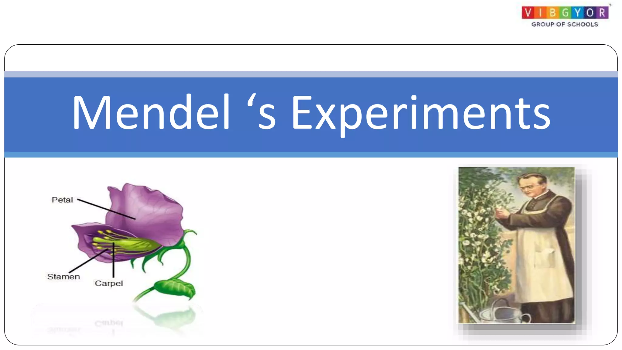 Unit 3_Genetics_PPT.pptx