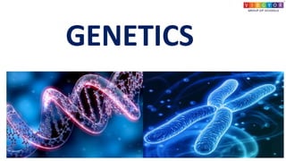 Unit 3_Genetics_PPT.pptx