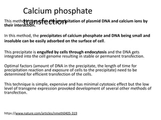 Unit 3 Gene Transfer Techniques.pdf