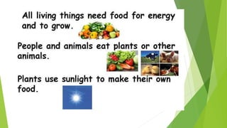 Unit 3 I love animals | PPTX | Birds | Pets