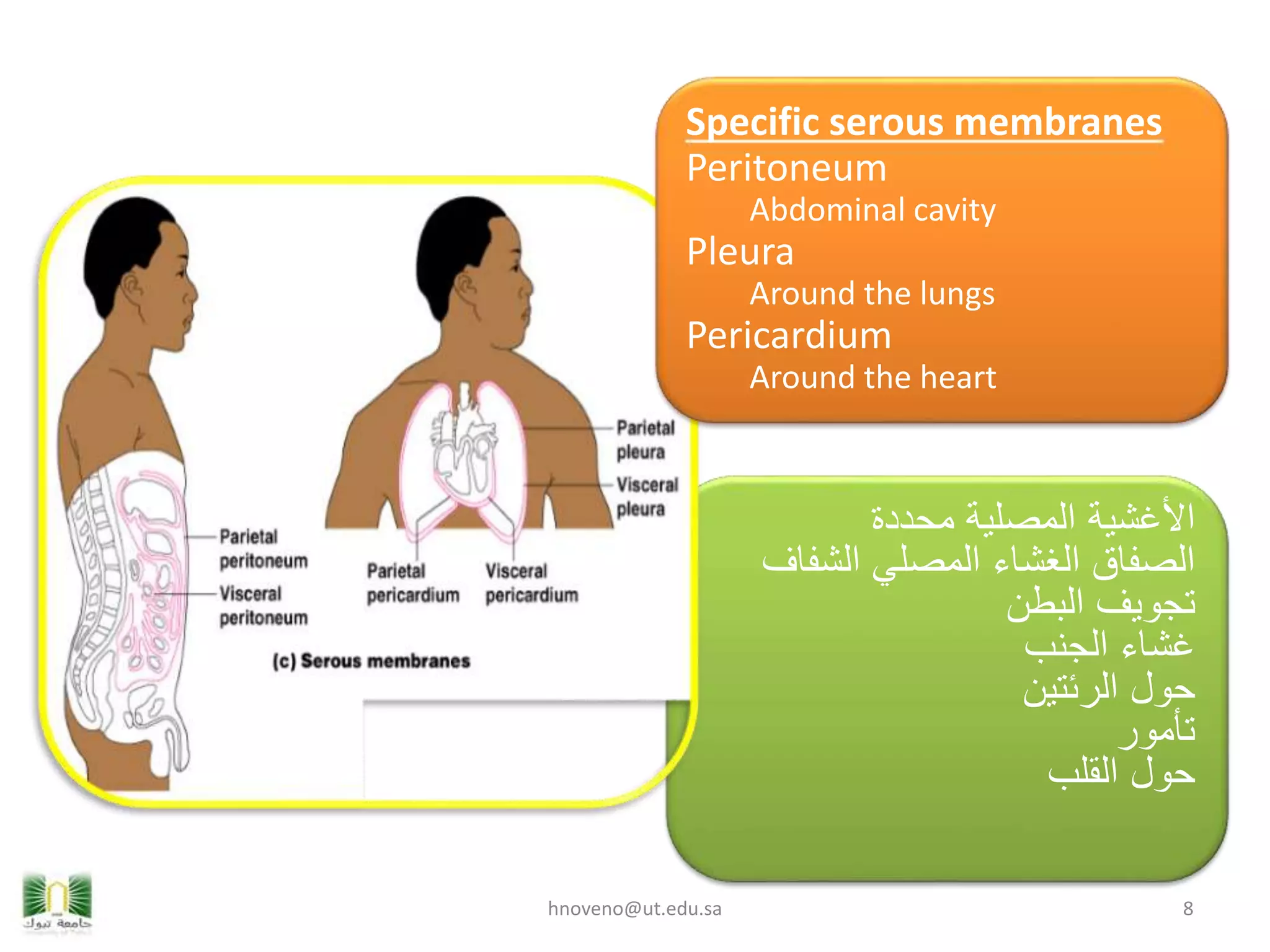 Unit 3 Integumentary System | PPTX