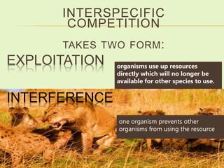 Interspecific Competition Examples In Plants
